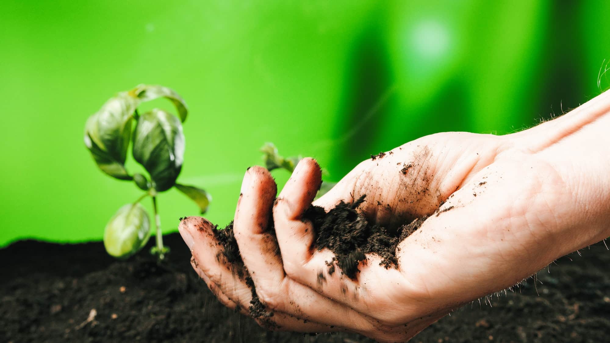 Topsoil Vs Garden Soil Understanding The Difference Mr Good Stuff Soil