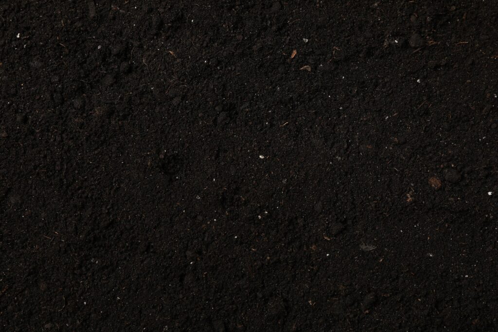 Unleashing Your Garden's Potential with Mr. Good Stuff's Premium ...