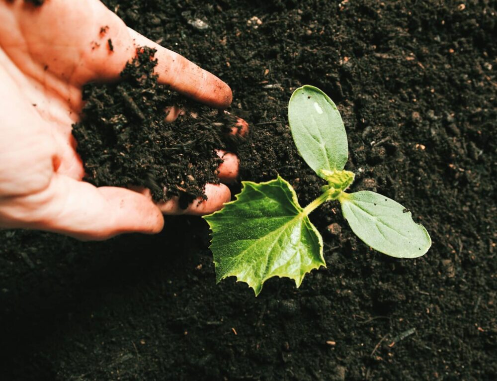 Buying Soil for Your Garden - Mr. Good Stuff Soil